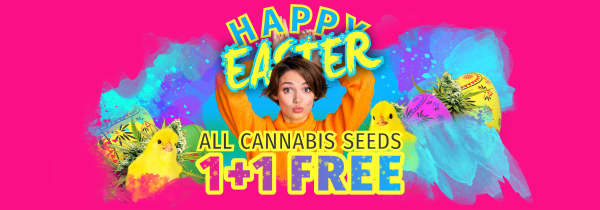 Nirvana Shop - Marijuana seeds since 1980