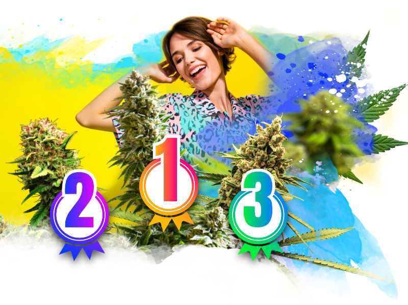 Nirvana Shop - Marijuana seeds since 1980